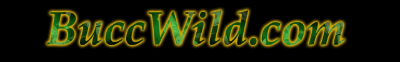 BuccWild Life$tyle, Pornstar page, Live chat, Videos